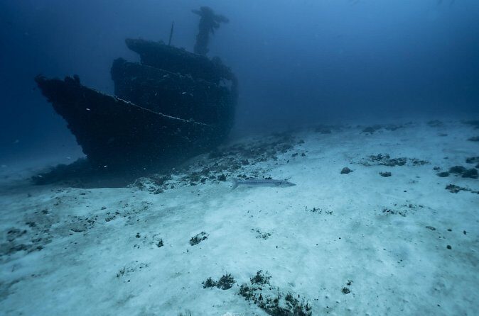 Half Day Dive Trip to the Cozumel reef - FAQ