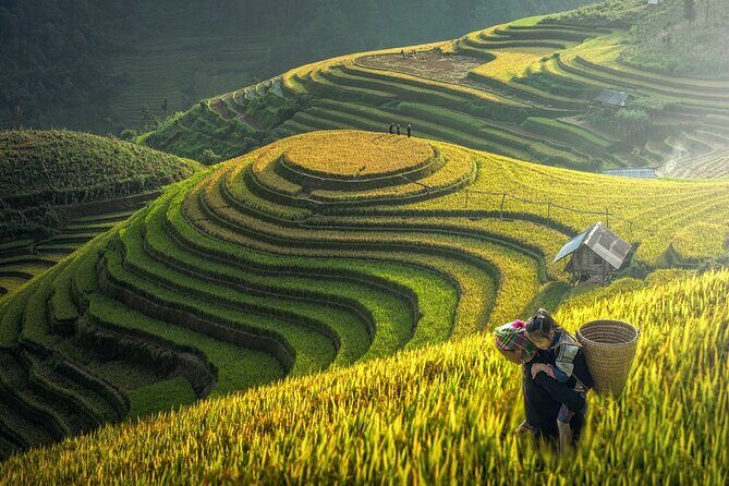 Half Day Doi Suthep & Hmong Hill Tribe - What Travelers Say
