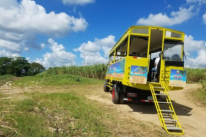 Half day Dominican Safari Experience ... / Half day Safari Excursion - Who Should Consider This Tour?