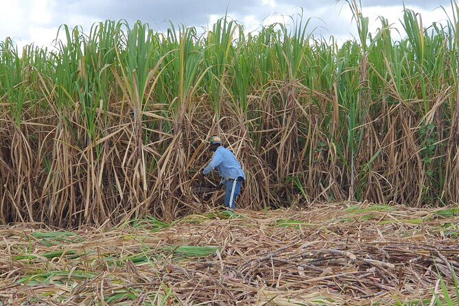 Half Day Dominican Safari for all Family - Final Thoughts