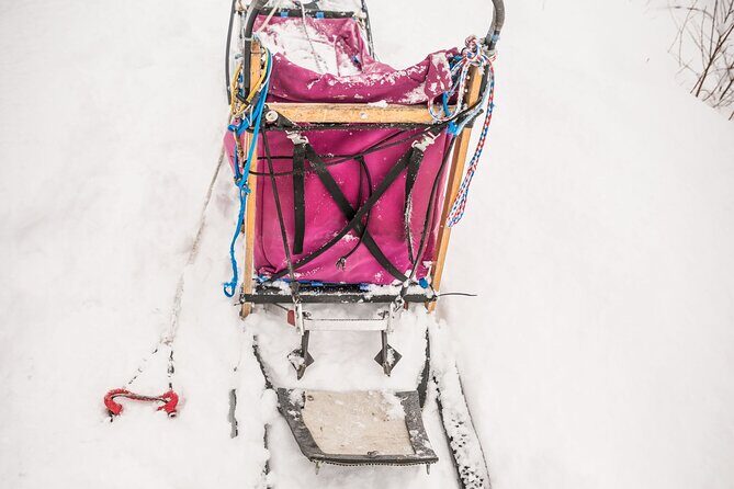 Half Day "Drive Your Own Dog Team" Dog Sledding Tour - FAQ