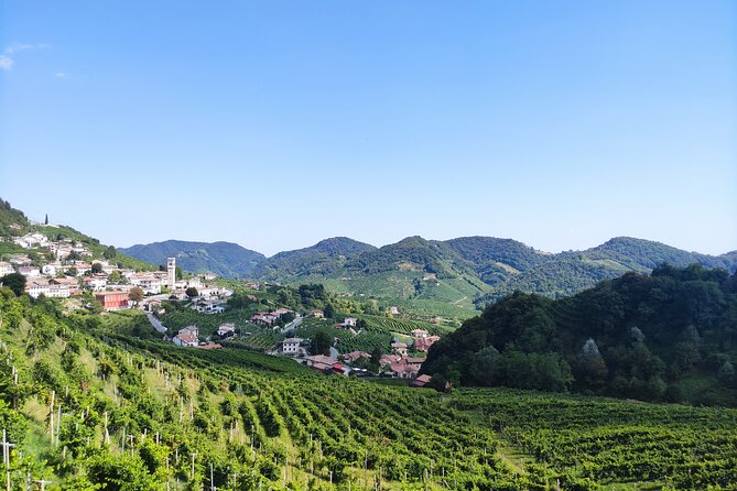 Half-Day E-Bike Tour in Prosecco Hills with Prosecco Tasting - Key Points
