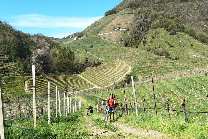 Half-Day E-Bike Tour in Prosecco Hills with Prosecco Tasting - Authentic Experiences and Authentic Guides