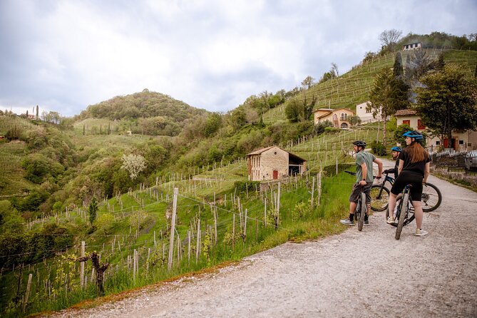 Half-Day E-Bike Tour in Prosecco Hills with Prosecco Tasting - Final Thoughts