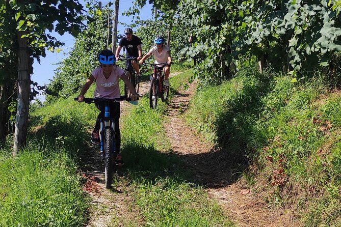 Half-Day E-Bike Tour in Prosecco Hills with Prosecco Tasting - Frequently Asked Questions