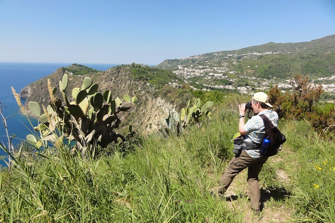 Half-day east coast hike in Ischia island with pick-up - What the Experience Means for You