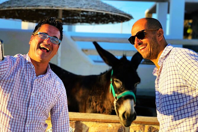 Half Day Easy and Fun Taste of Santorini - Additional Details