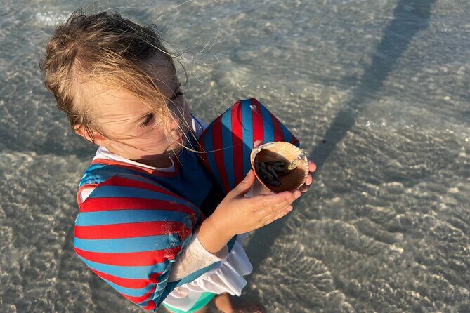 Half Day Eco and Dolphin Boat Tour in Siesta Key - Introduction