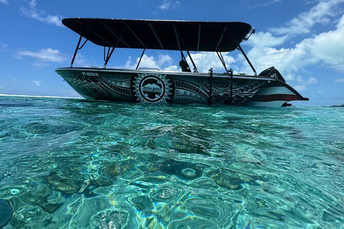 Half day Eco Snorkeling small group Tour in Bora Bora - What to Expect on This Bora Bora Snorkeling Tour