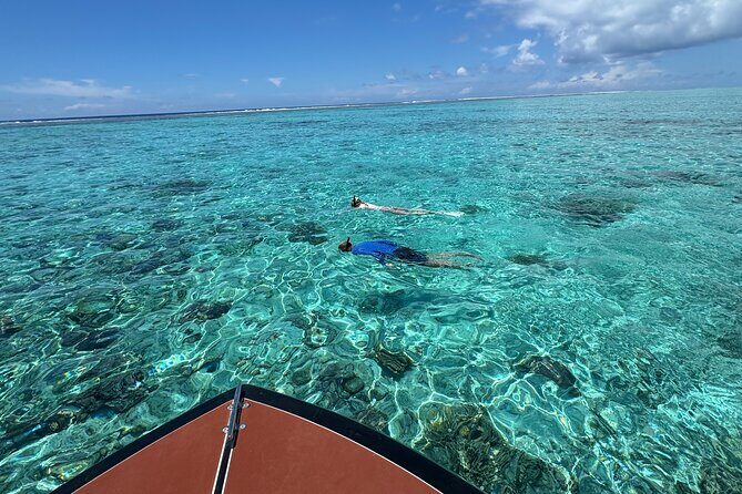 Half day Eco Snorkeling small group Tour in Bora Bora - Who Will Love This Tour?