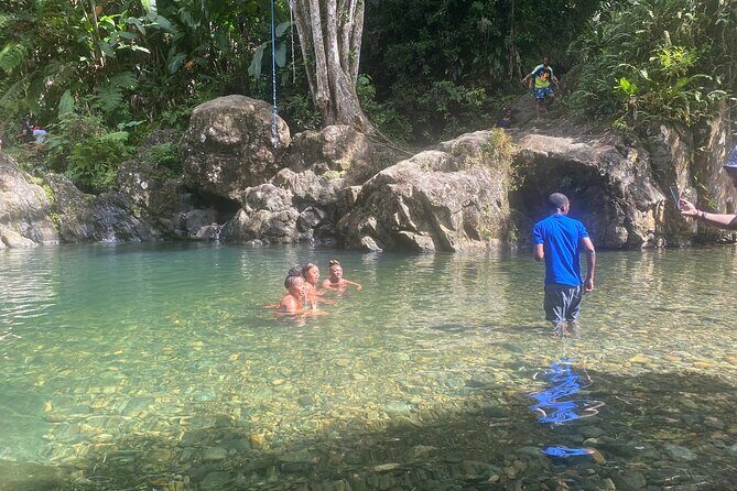 Half-Day El Yunque and Waterslides Adventure from Fajardo - A Close Look at What This Tour Offers