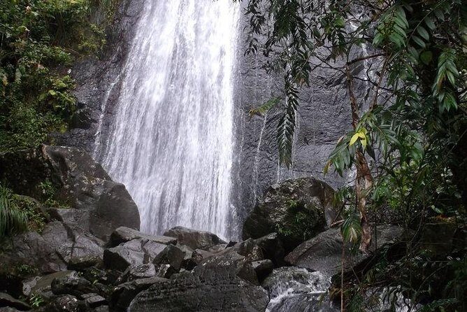 Half-Day El Yunque National Forest Tour from San Juan - The Sum Up: Who Should Consider This Tour?