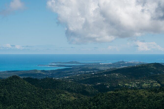 Half-Day El Yunque National Forest Tour from San Juan - FAQ