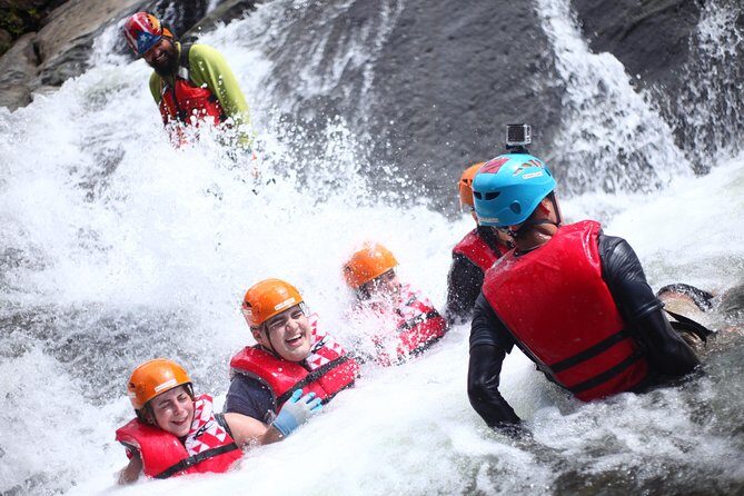 Half-Day El Yunque Rainforest Wilderness Adventure - What to Expect: The Good, the Challenging, and the Memorable