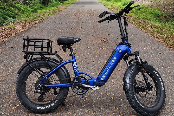 Half Day Electric Bike Rental in Treasure Island - The Sum Up