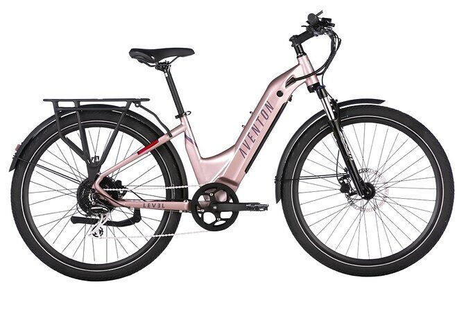 Half Day Electric Bike Rental on the Pinellas Trail - Additional Practical Details