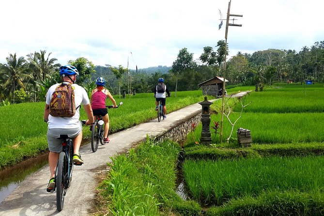 Half-Day Electric Cycling Tour of Ubud - The Sum Up: Who Is This Tour Best For?