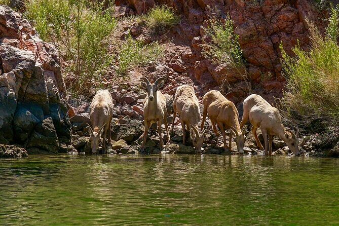 Half Day Emerald and Echo Cave Kayak Adventure - An In-Depth Look at the Emerald and Echo Cave Kayak Experience