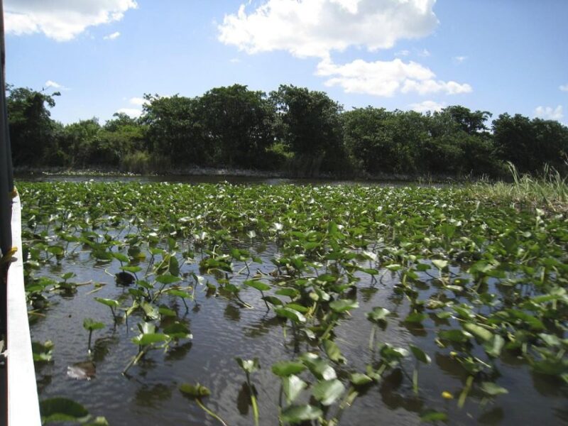Half-Day Everglades Airboat Tours and Transportation - FAQ