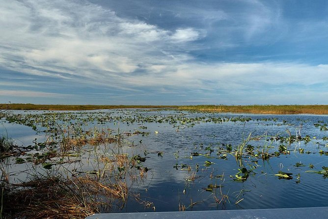 Half-day Everglades National Park Tour and 1-Hour Air Boat Ride - Final Thoughts