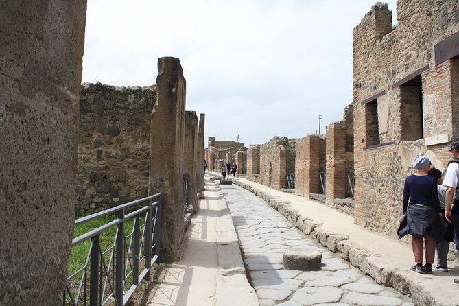 Half-Day Exclusive Private Tour of Pompeii and Herculaneum - Expert Local Guides