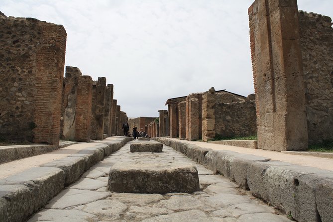 Half-Day Exclusive Private Tour of Pompeii and Herculaneum - Meeting and End Points