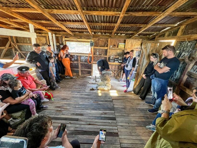 Half-Day Excursion at Estancia 25 de Mayo Field Afternoon - Key Points