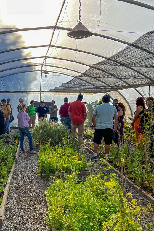 Half-Day Excursion at Estancia 25 de Mayo Field Afternoon - Best for: