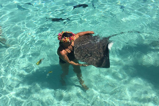 Half day Excursion, Drift Snorkeling Lagoon Adventure. 3H - Key Points