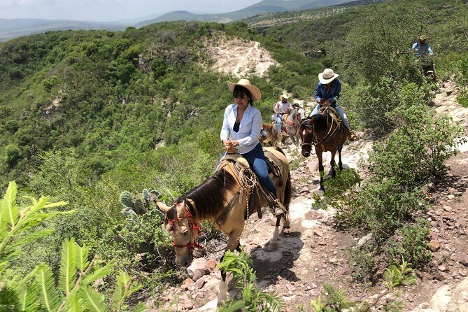 Half Day Excursion - Horseback Riding Adventure in SMA - Farm Activities and Cultural Insights