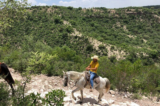 Half Day Excursion - Horseback Riding Adventure in SMA - The Sum Up