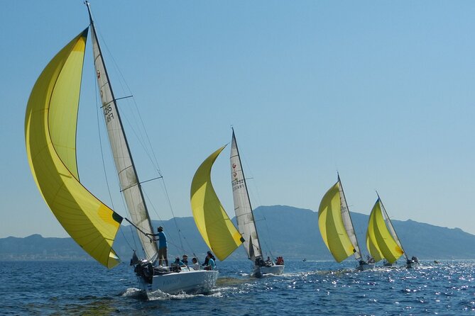 Half-Day Excursion in the Calanques of Frioul - Key Points