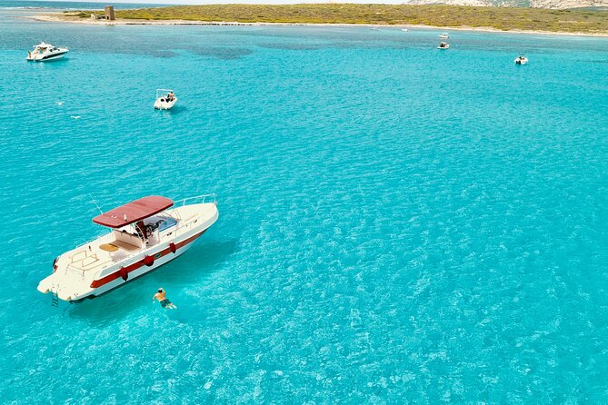 Half Day Excursion to Asinara (3h) - Itinerary