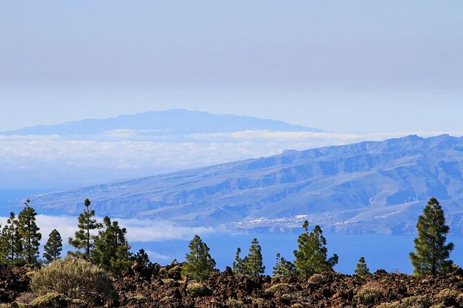 Half-day excursion to Teide National Park - Why This Tour Offers Good Value