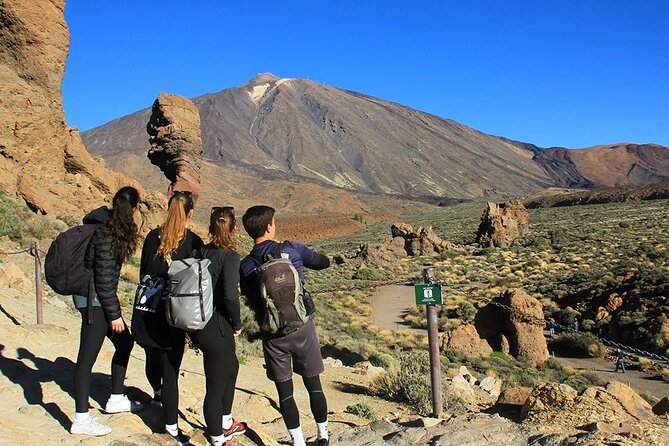 Half-day excursion to Teide National Park - Authentic Traveler Insights
