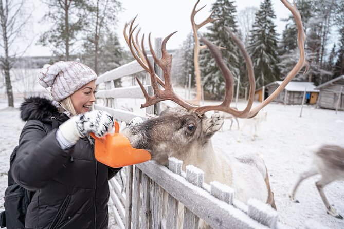 Half-Day Experience in Local Reindeer Farm in Lapland - Confirmation and Booking Information