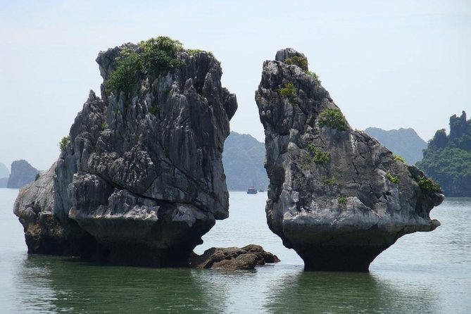 Half Day Explore Halong Bay With Lunch, Sung Sot Cave, Titop Island and Kayaking - What’s Included & What’s Not