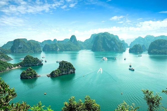 Half Day Explore Halong Bay With Lunch, Sung Sot Cave, Titop Island and Kayaking - The Itinerary: A Step-by-Step Breakdown