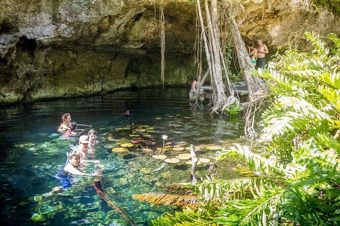 Half-Day Explore Tour of Tulum, Gran Cenote with Local Tacos - Who Is This Tour Best For?