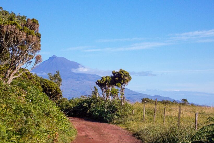 Half Day Faial Island Tour - Frequently Asked Questions