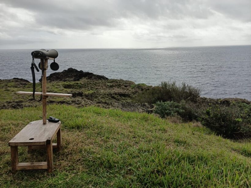 Half Day Faial Island Tour - Final Thoughts