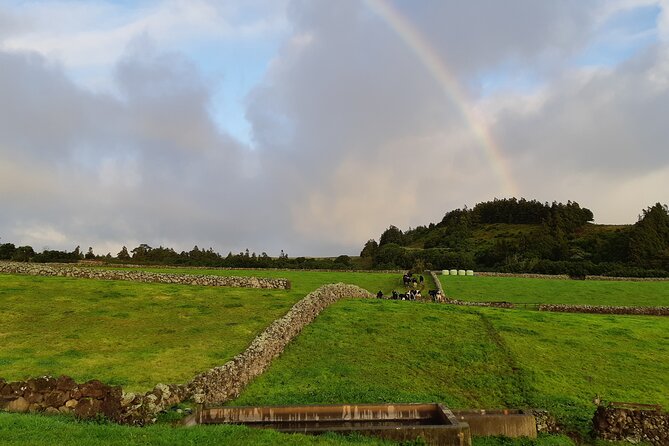 Half-Day Farm Visit and Cow Milking Experience - Tasting Local Delicacies