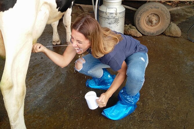 Half-Day Farm Visit and Cow Milking Experience - Suitability and Accessibility