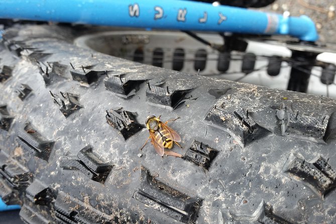 Half Day Fatbike Tour - Wicklow Ballinastoe - Whats Included in the Tour