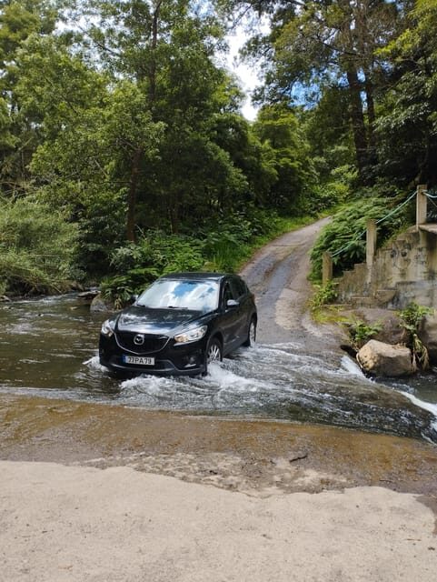 Half Day Fire Lake, Pineapple & Tea by SUV - A Practical Look at the Half Day Fire Lake, Pineapple & Tea Tour in the Azores