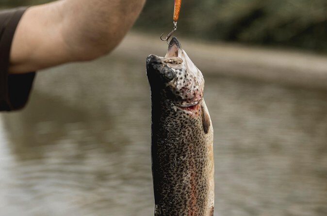Half Day Fishing Adventure - FAQ