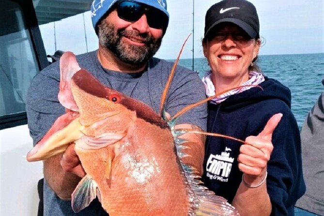 Half Day Fishing Experience from John's Pass in Madeira Beach, FL - 5 Hours - A Straightforward Look at the Half Day Fishing Experience from Johns Pass in Madeira Beach, FL