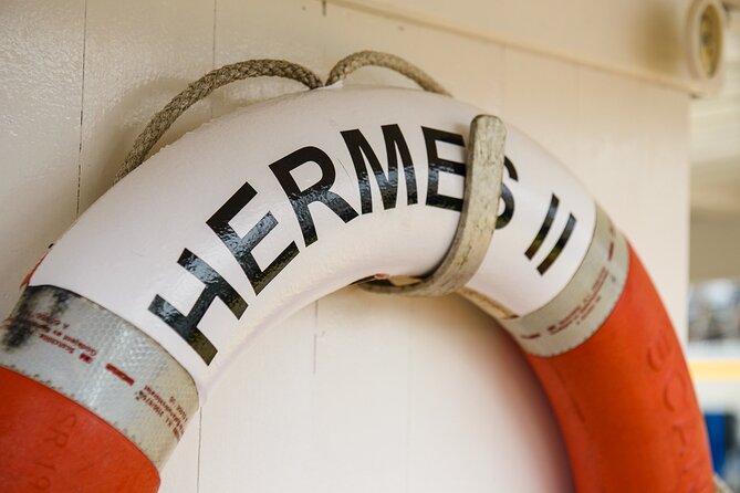 Half-Day Fishing & Fjord Cruise Adventure From Tromsø in Norway - Reviews and Traveler Feedback