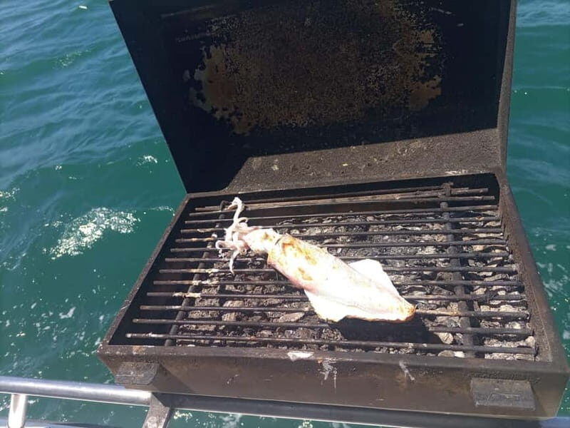 Half Day Fishing Trip - What You Can Expect from the Experience