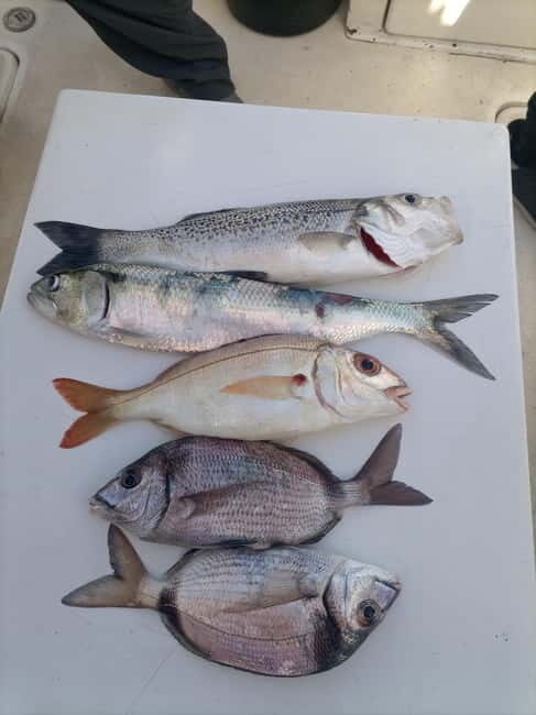Half Day Fishing Trip - The Included and Excluded Elements